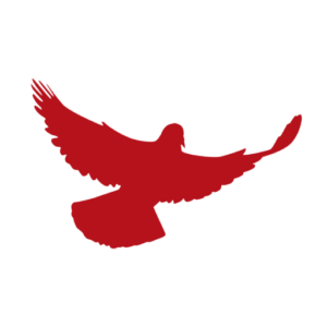 Horizon Transport - North America's Largest RV Transport Company