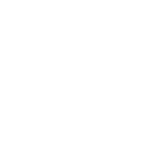 Horizon Transport - North America's Largest RV Transport Company